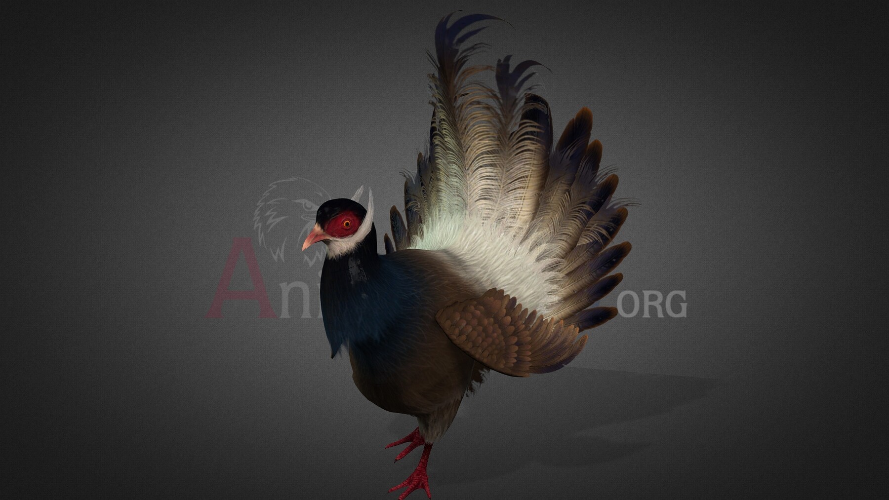 ArtStation - Chicken-1-Dance | Game Assets