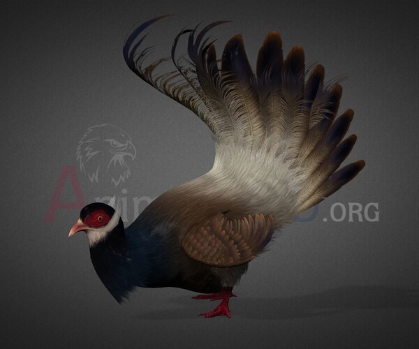 ArtStation - Chicken-1-Idle | Game Assets