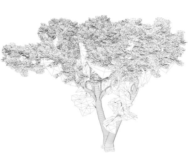 ArtStation - Monterey Cypress #07 (FBX) - High Poly Tree (3D Model ...