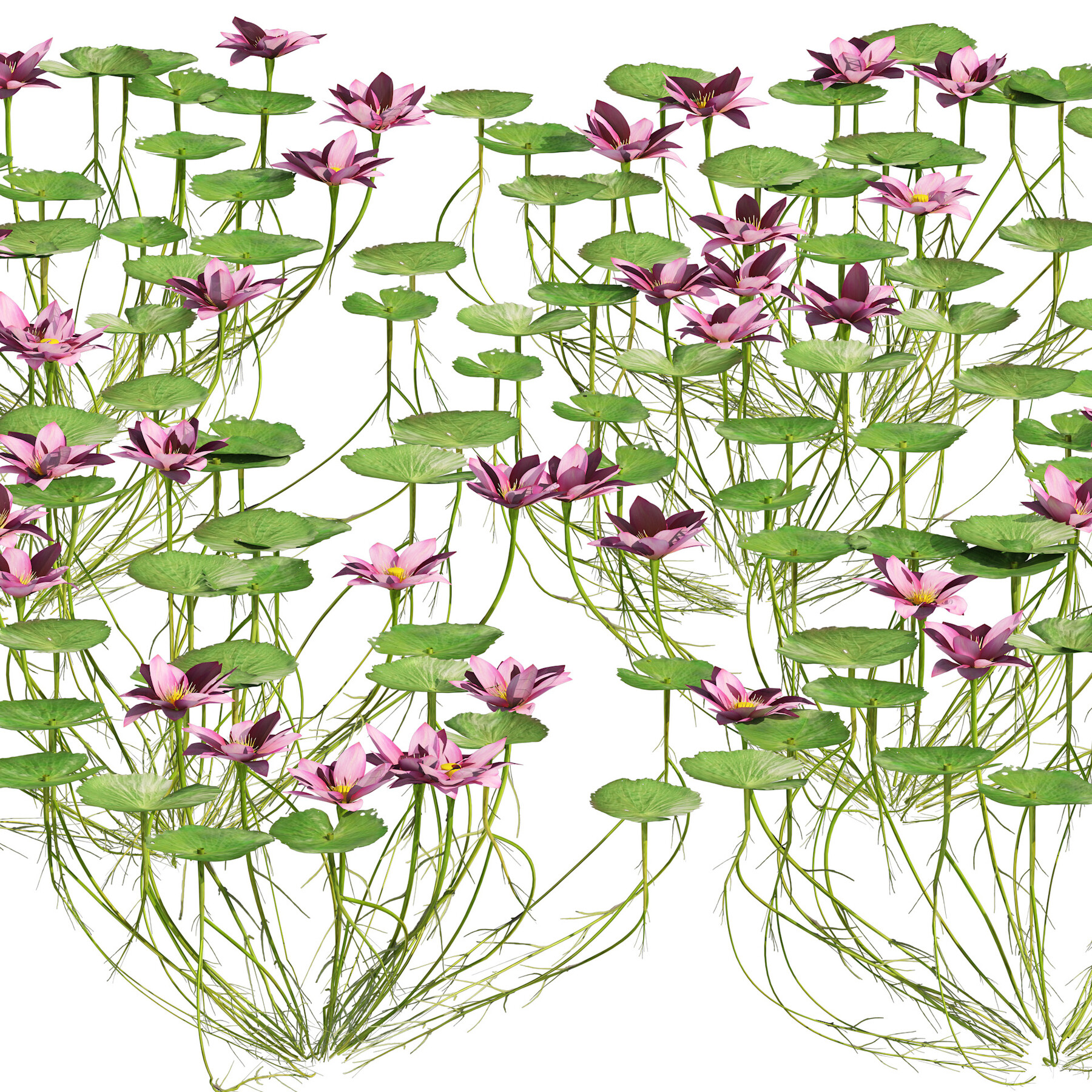 ArtStation - aquatic lotus flower | Game Assets