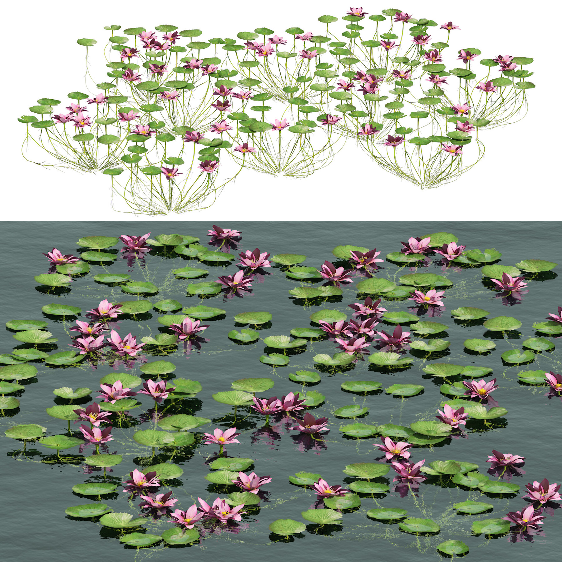 ArtStation - aquatic lotus flower | Game Assets