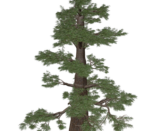 ArtStation - Western Juniper #05 (FBX) - High Poly Tree (3D Model) | Resources