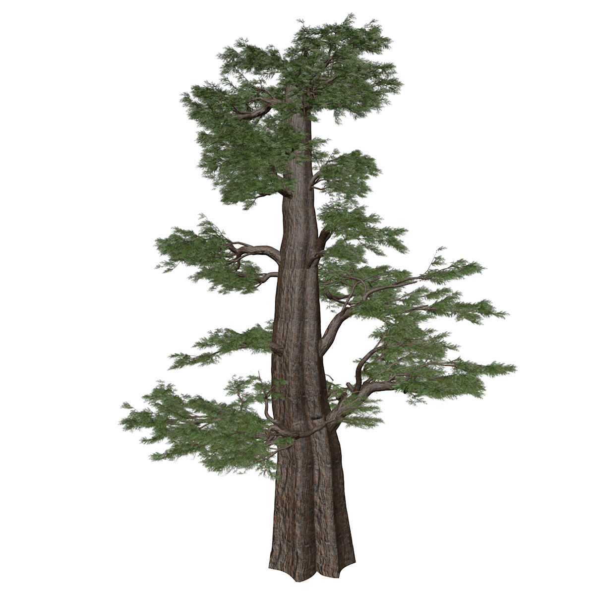 ArtStation - Western Juniper #07 (FBX) - High Poly Tree (3D Model ...