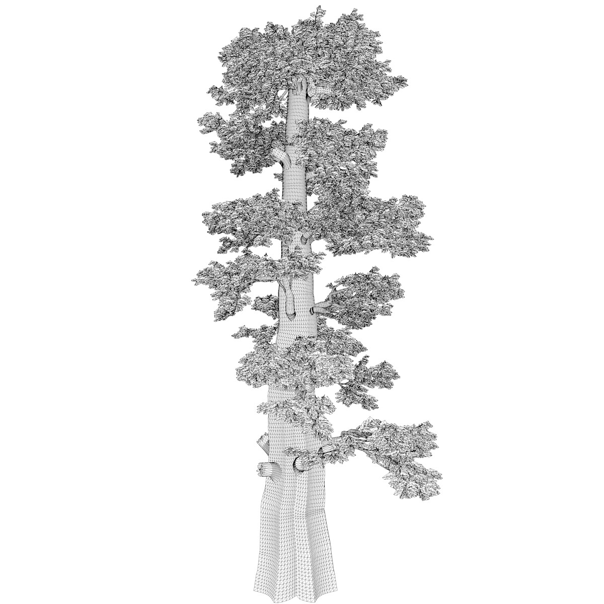 ArtStation - Western Juniper #08 (FBX) - High Poly Tree (3D Model ...