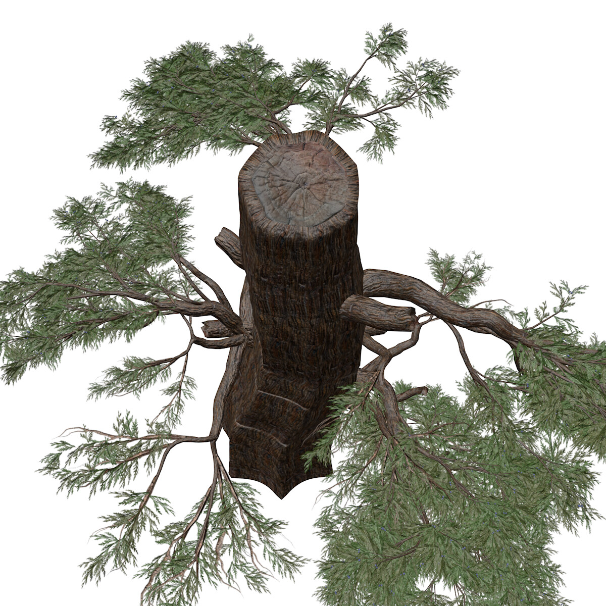 ArtStation - Western Juniper #10 (FBX) - High Poly Tree (3D Model ...