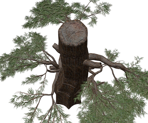 ArtStation - Western Juniper #10 (FBX) - High Poly Tree (3D Model ...