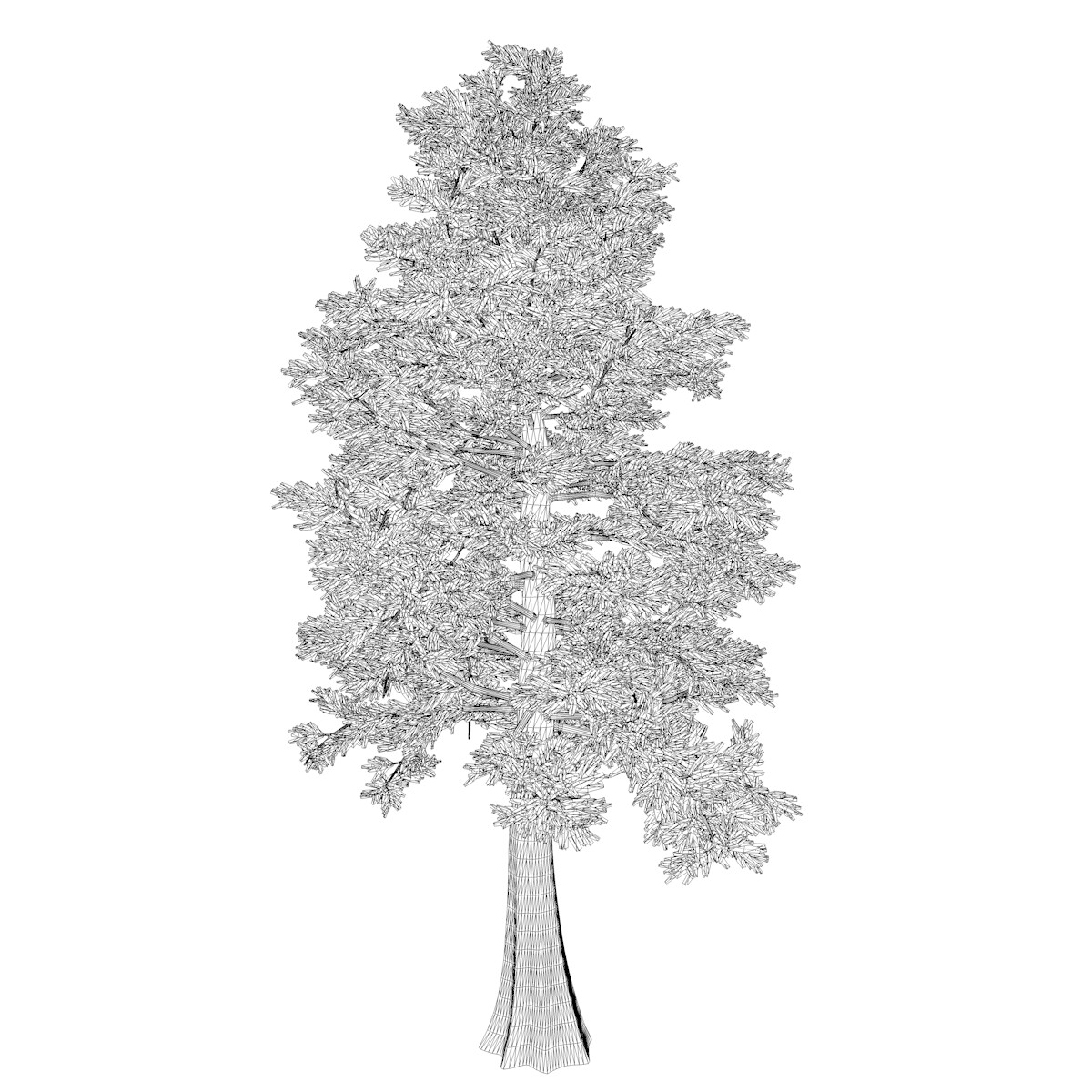ArtStation - Western Red Cedar #01 (FBX) - High Poly Tree (3D Model ...