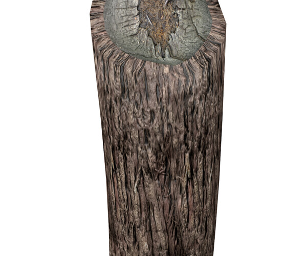 ArtStation - Western Red Cedar #10 (FBX) - High Poly Tree (3D Model ...