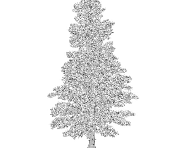 ArtStation - White Fir #02 (FBX) - High Poly Tree (3D Model) | Resources