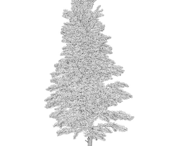 ArtStation - White Fir #06 (FBX) - High Poly Tree (3D Model) | Resources