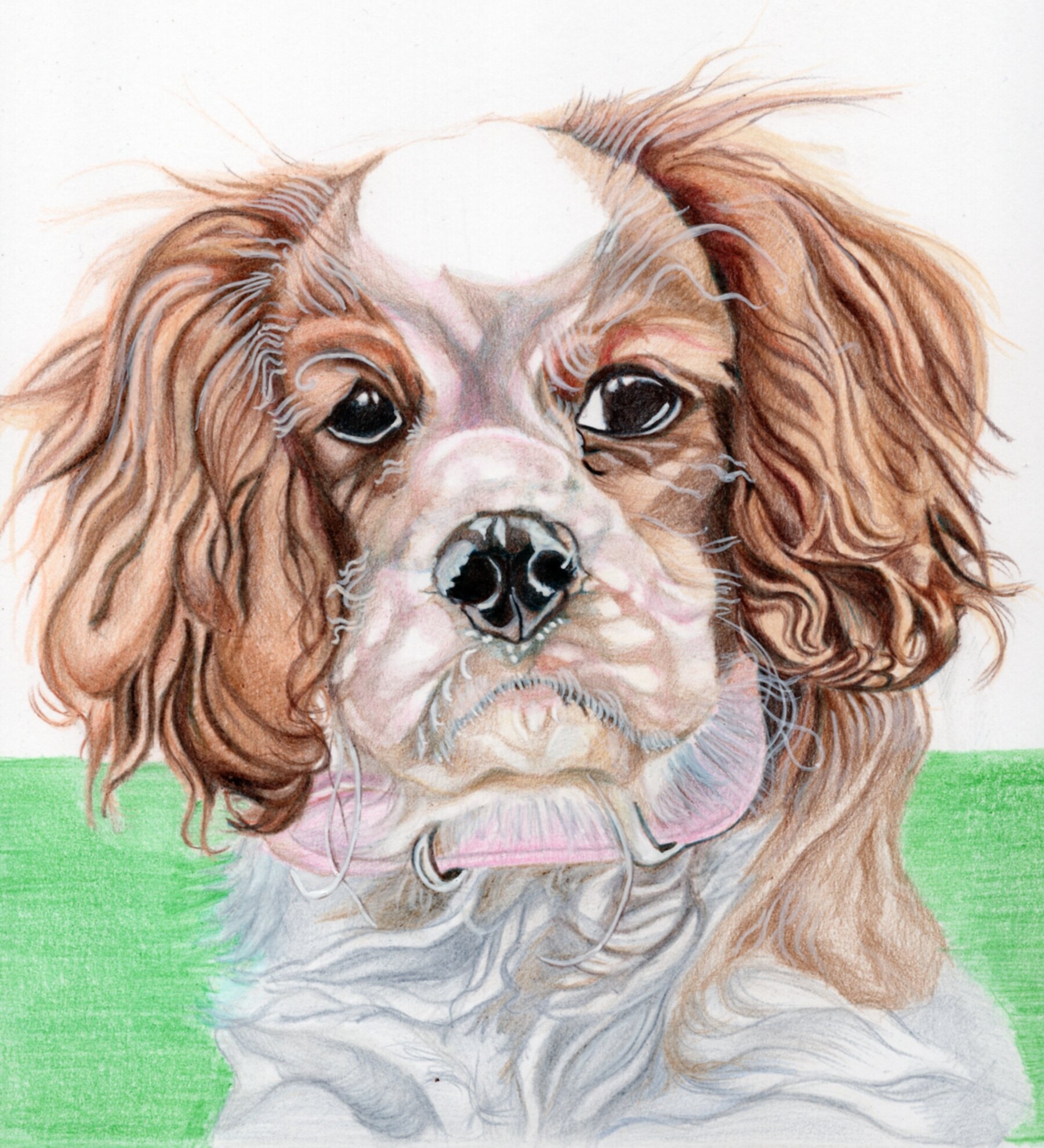 ArtStation - Companion | Artworks