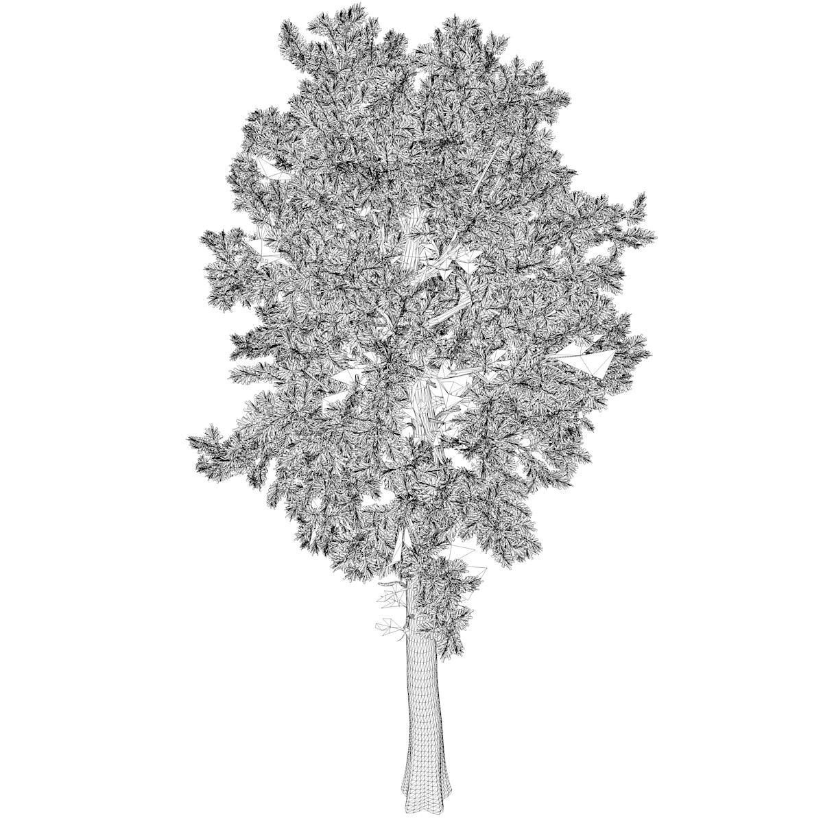 ArtStation - Loblolly Pine #08 (FBX) - High Poly Tree (3D Model ...