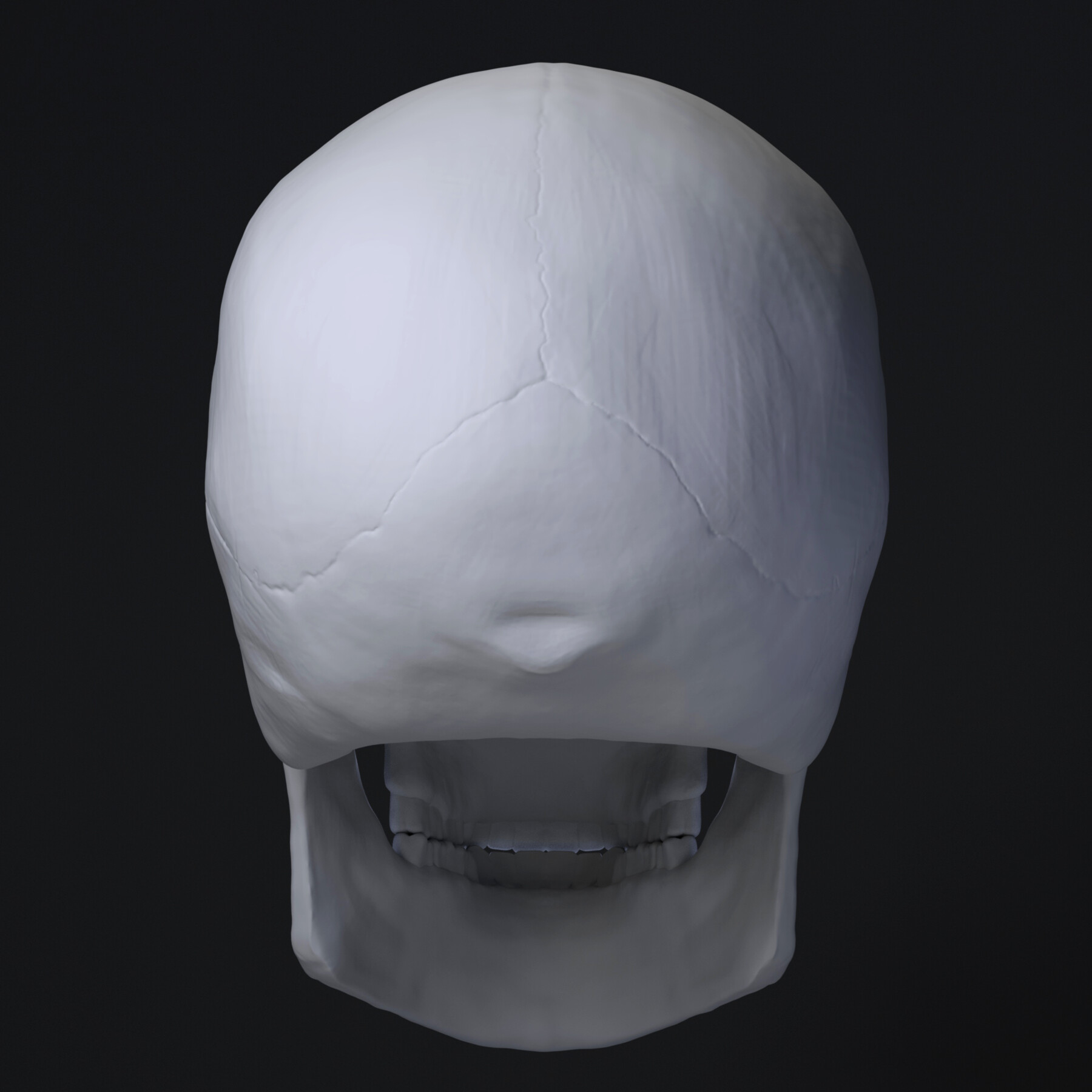 ArtStation - Skull STL | Resources
