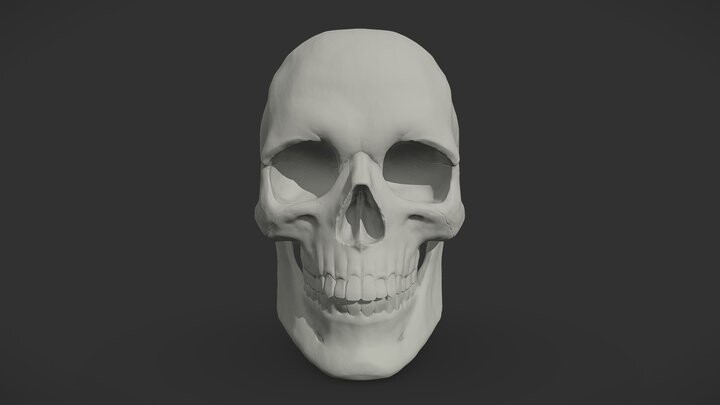 ArtStation - Skull STL | Resources