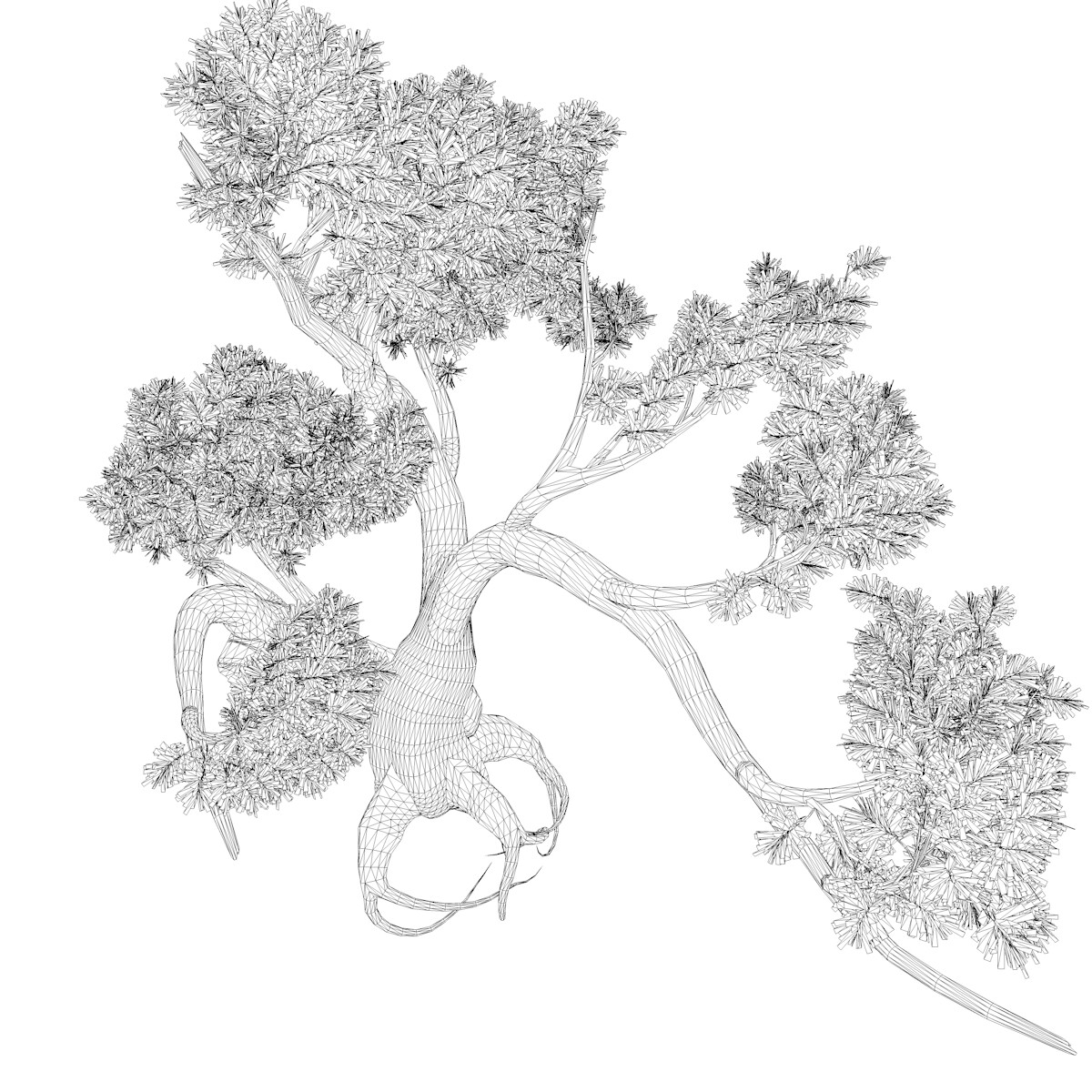 ArtStation - Jeffrey Pine #01 (FBX) - High Poly Tree (3D Model) | Resources