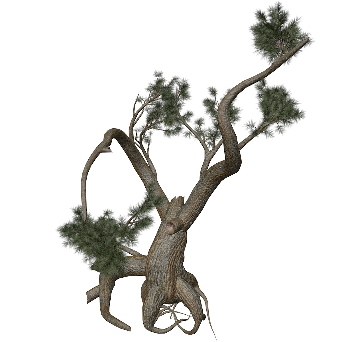 ArtStation - Jeffrey Pine #03 (FBX) - High Poly Tree (3D Model) | Resources