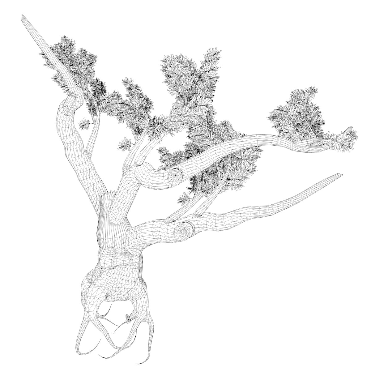 ArtStation - Jeffrey Pine #04 (FBX) - High Poly Tree (3D Model) | Resources