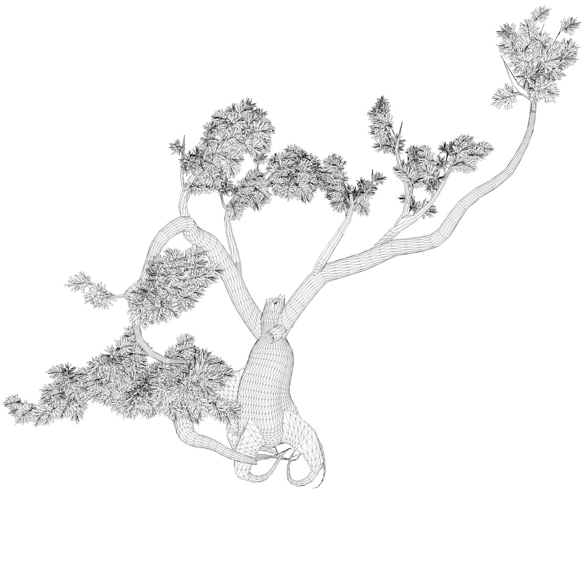 ArtStation - Jeffrey Pine #07 (FBX) - High Poly Tree (3D Model) | Resources