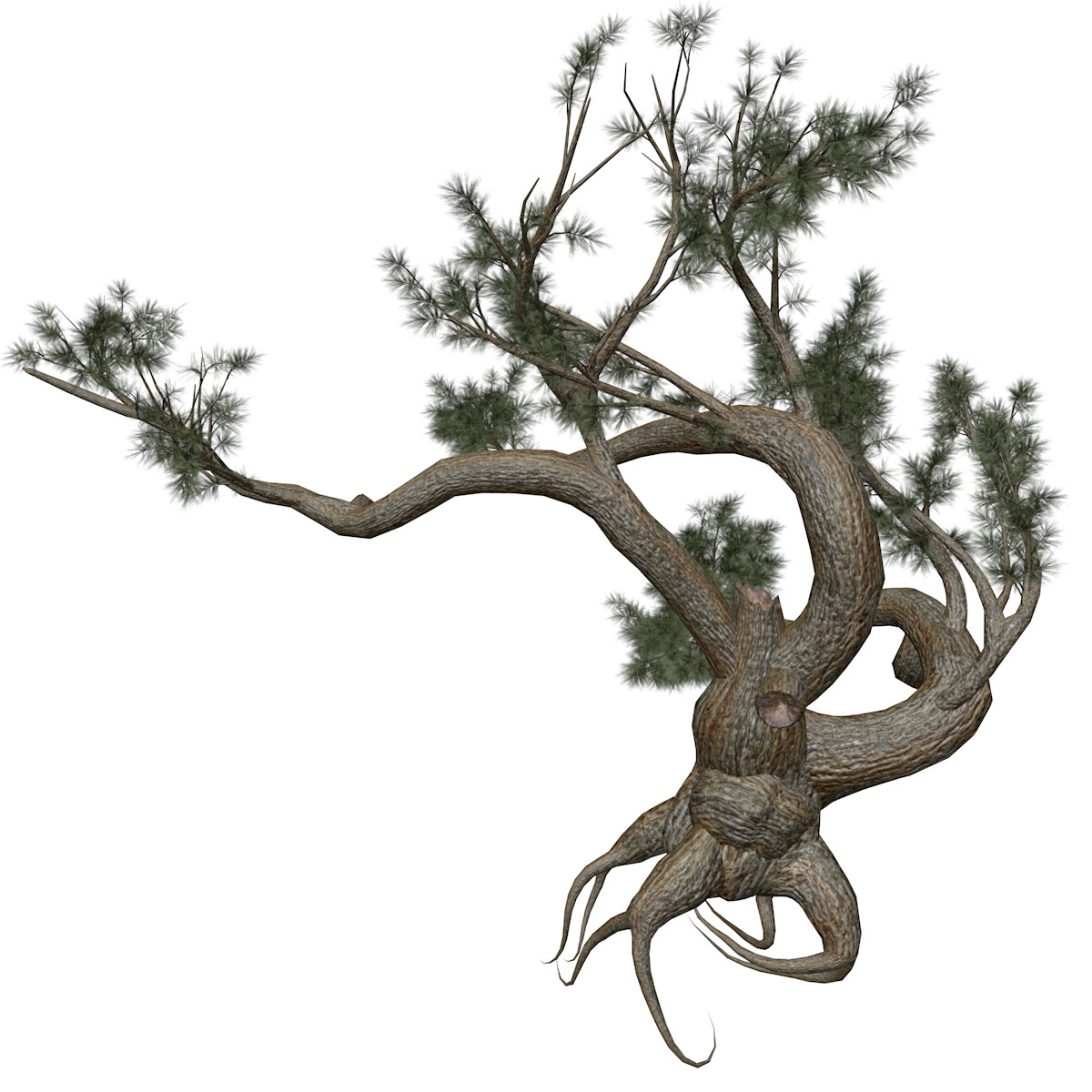 ArtStation - Jeffrey Pine #09 (FBX) - High Poly Tree (3D Model) | Resources