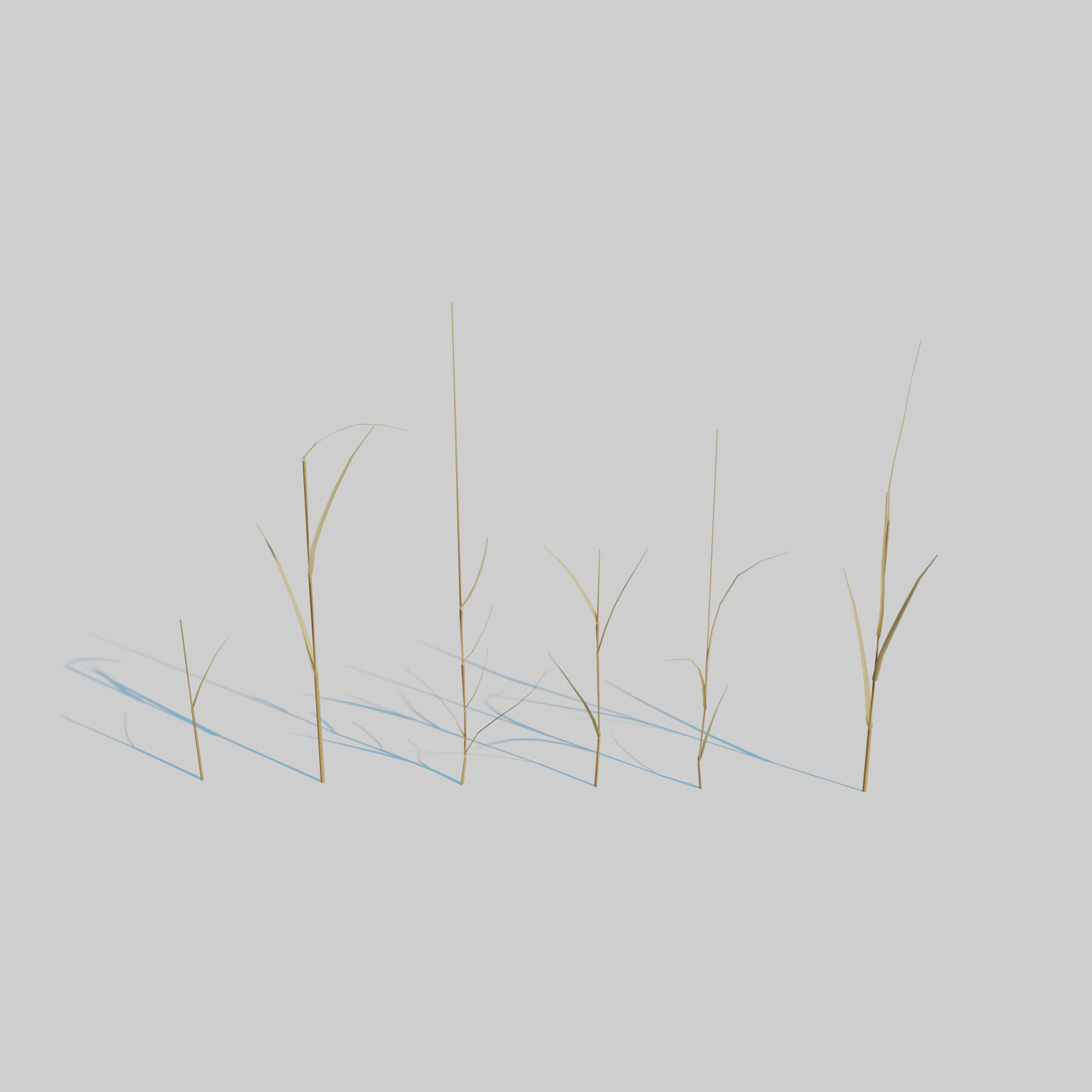 ArtStation - Dry Plants Pack | Resources