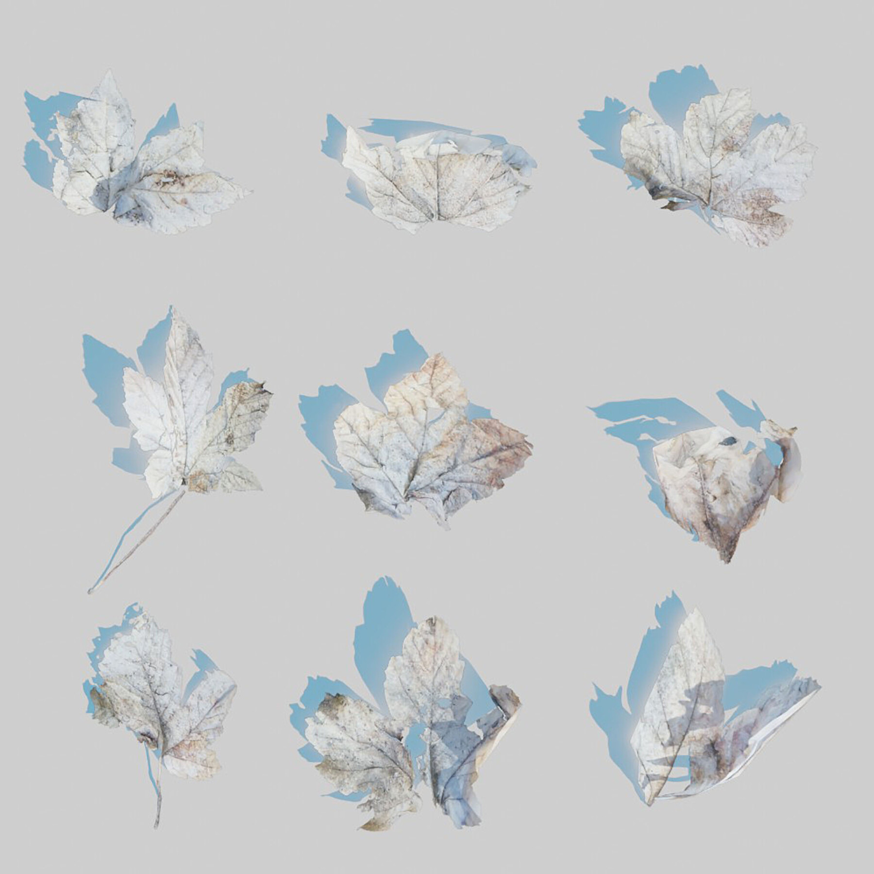 ArtStation - Dry Plants Pack | Resources