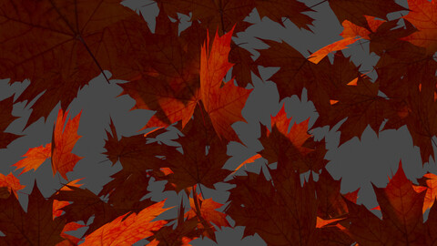 ArtStation - Mapple Leaf | Resources