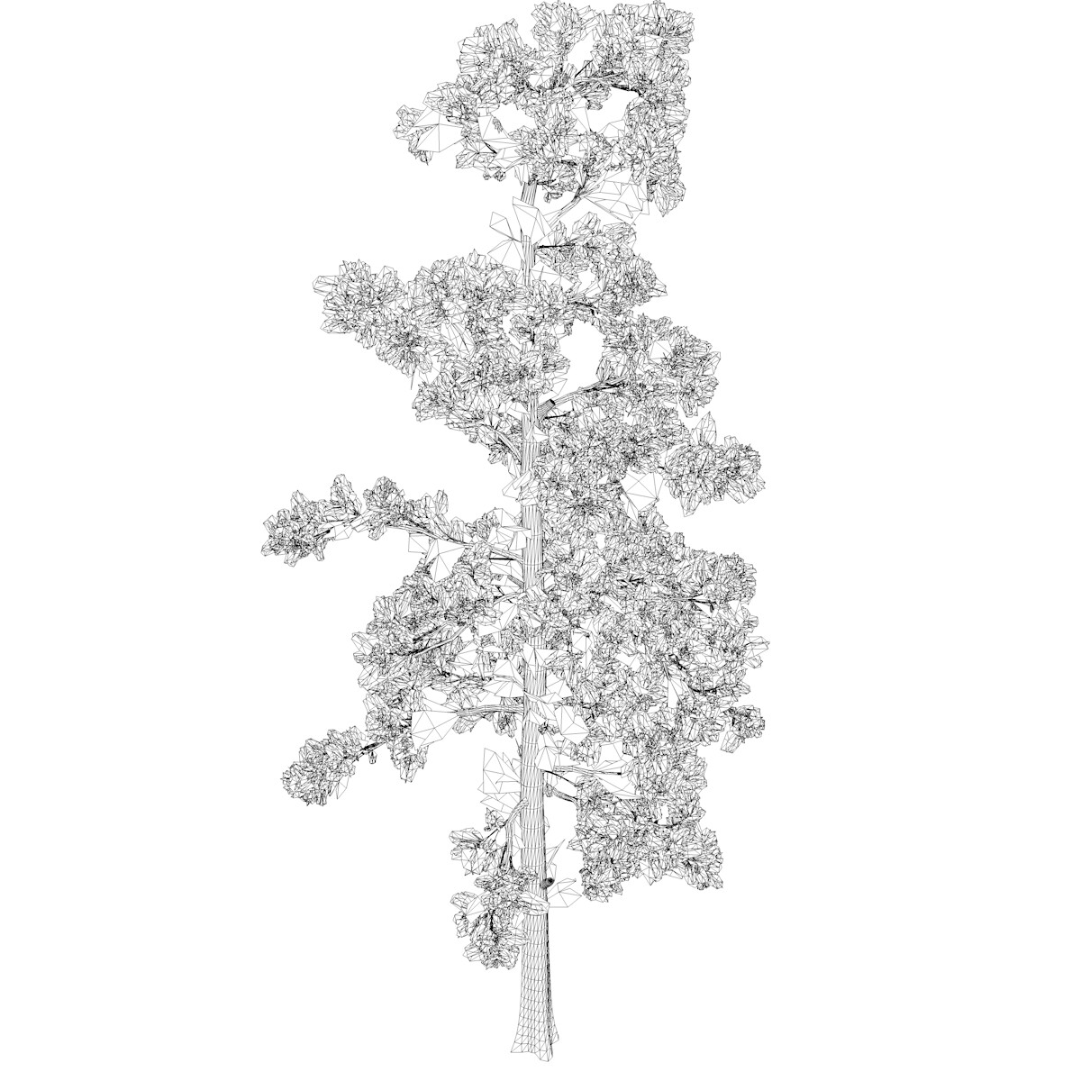 ArtStation - Eastern White Pine #02 (FBX) - High Poly Tree (3D Model ...