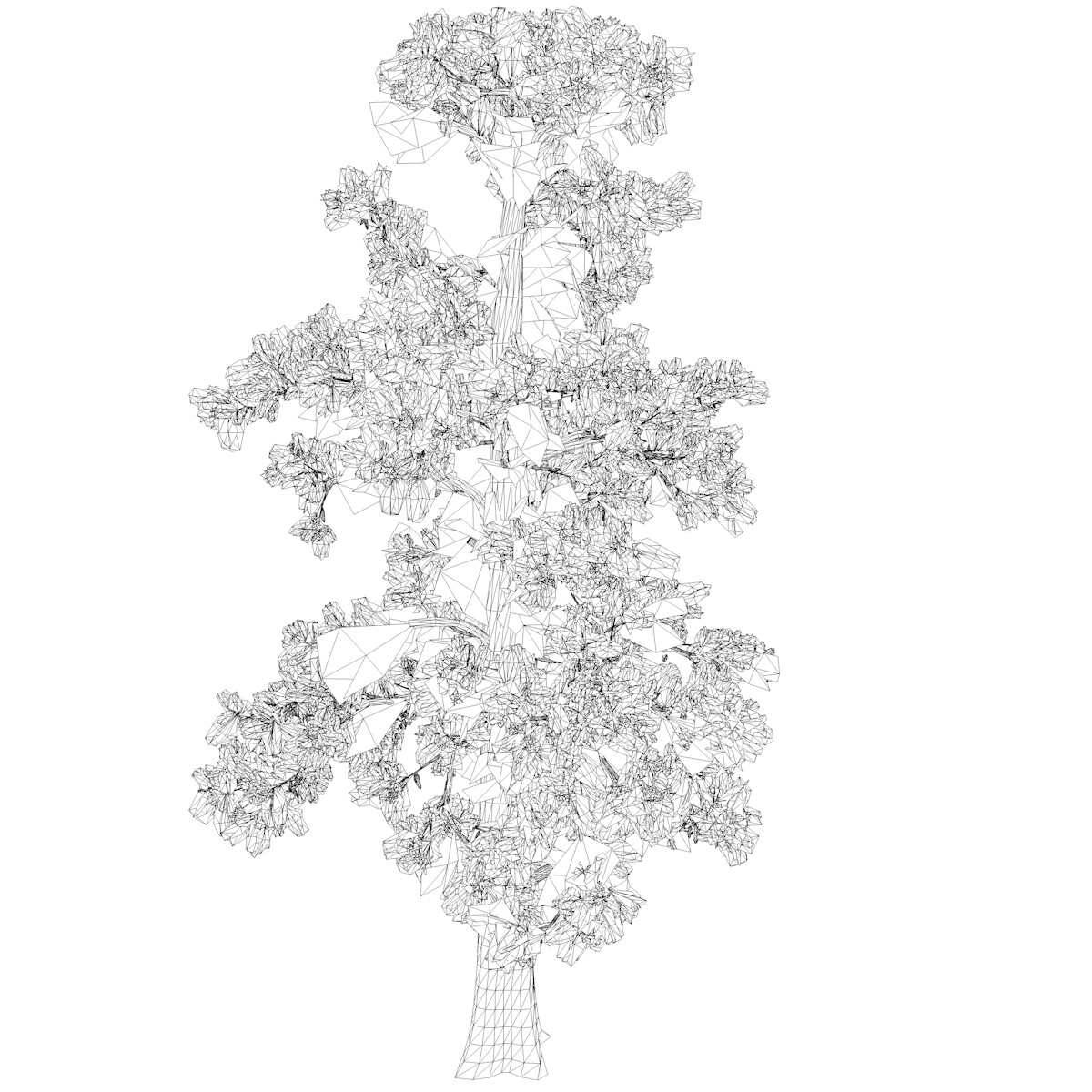 ArtStation - Eastern White Pine #03 (FBX) - High Poly Tree (3D Model ...