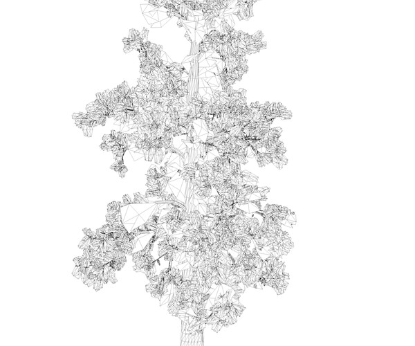 ArtStation - Eastern White Pine #03 (FBX) - High Poly Tree (3D Model ...