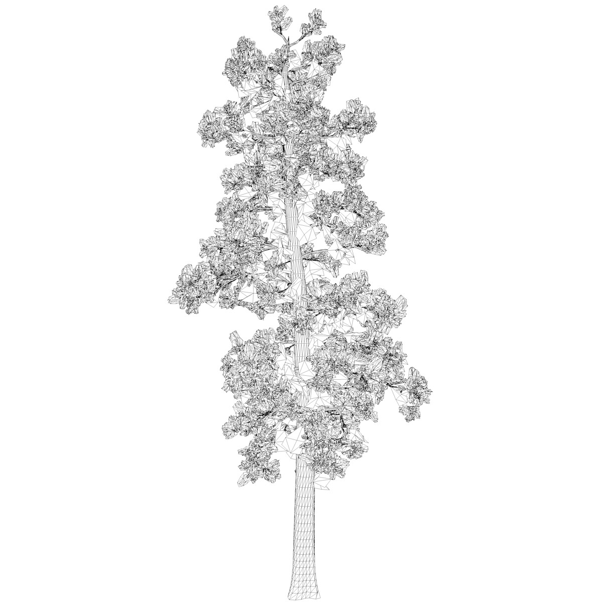 ArtStation - Eastern White Pine #06 (FBX) - High Poly Tree (3D Model ...