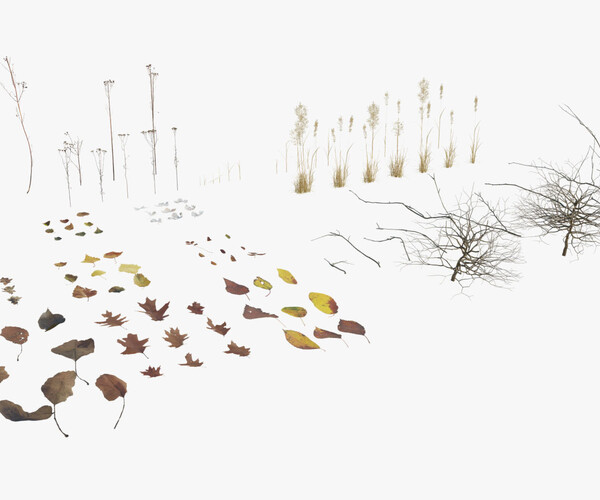 ArtStation - Dry Plants Pack | Resources