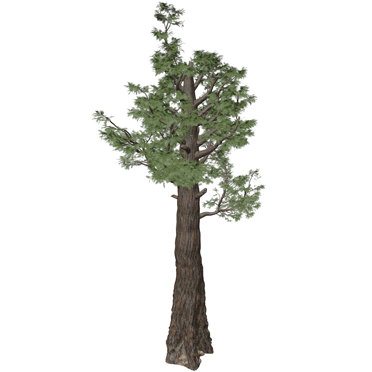 ArtStation - Giant Redwood #01 (FBX) - High Poly Tree (3D Model ...