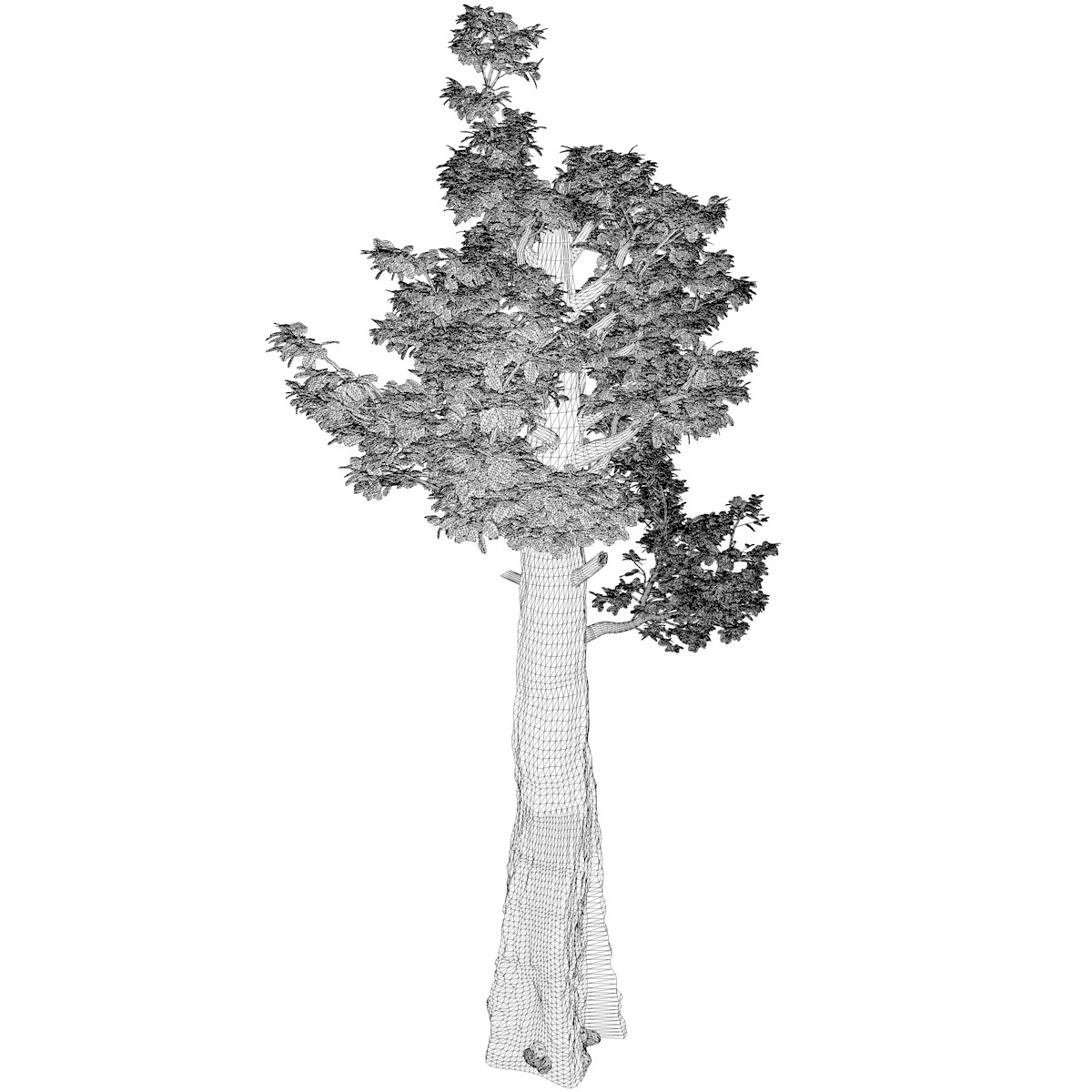 ArtStation - Giant Redwood #01 (FBX) - High Poly Tree (3D Model ...