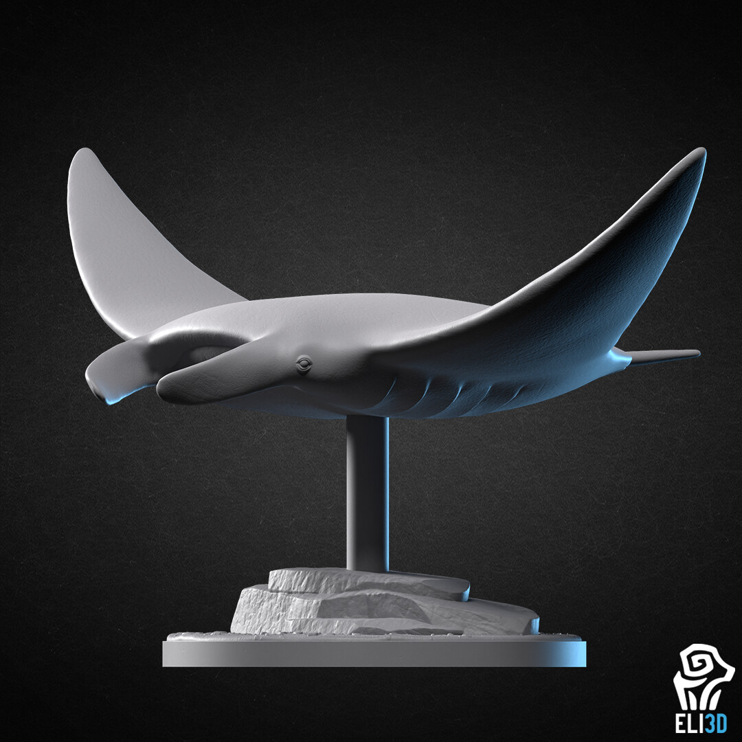 ArtStation - Animals - Ocean Wildlife - 3D Print Models | Resources