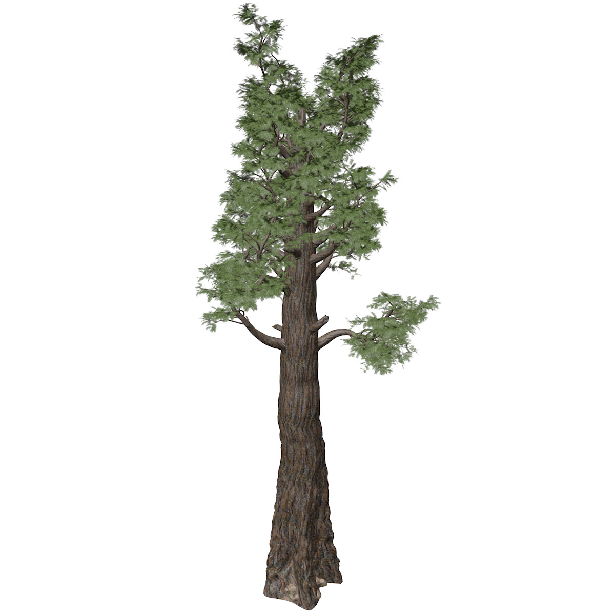 ArtStation - Giant Redwood #04 (FBX) - High Poly Tree (3D Model ...