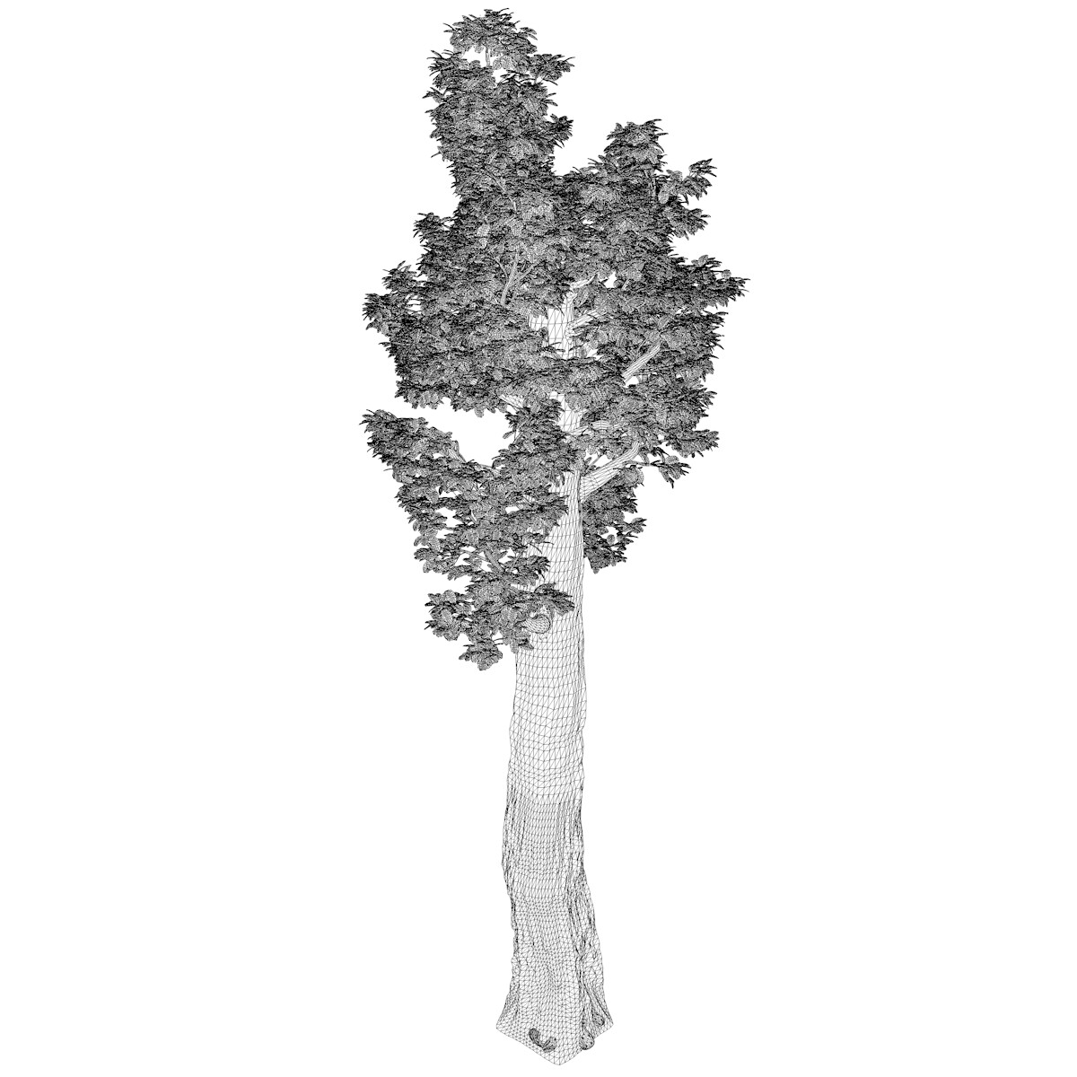ArtStation - Giant Redwood #10 (FBX) - High Poly Tree (3D Model ...
