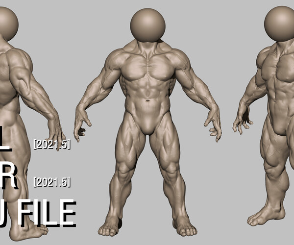 ArtStation - Big body | Resources