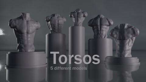 ArtStation - Basic torso models | Resources