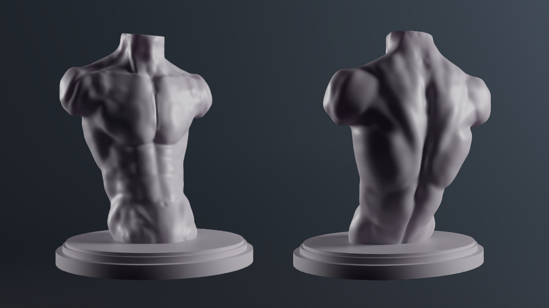 Artstation Basic Torso Models Resources