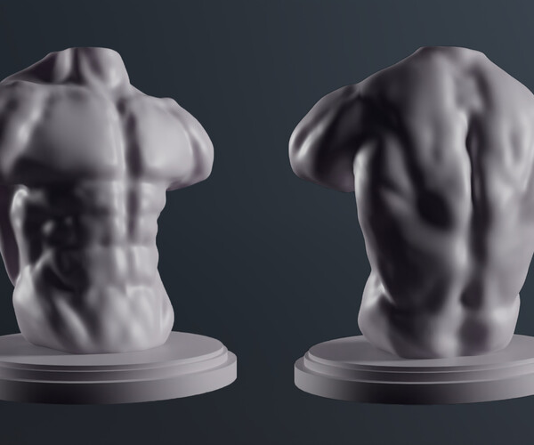 ArtStation - Basic torso models | Resources