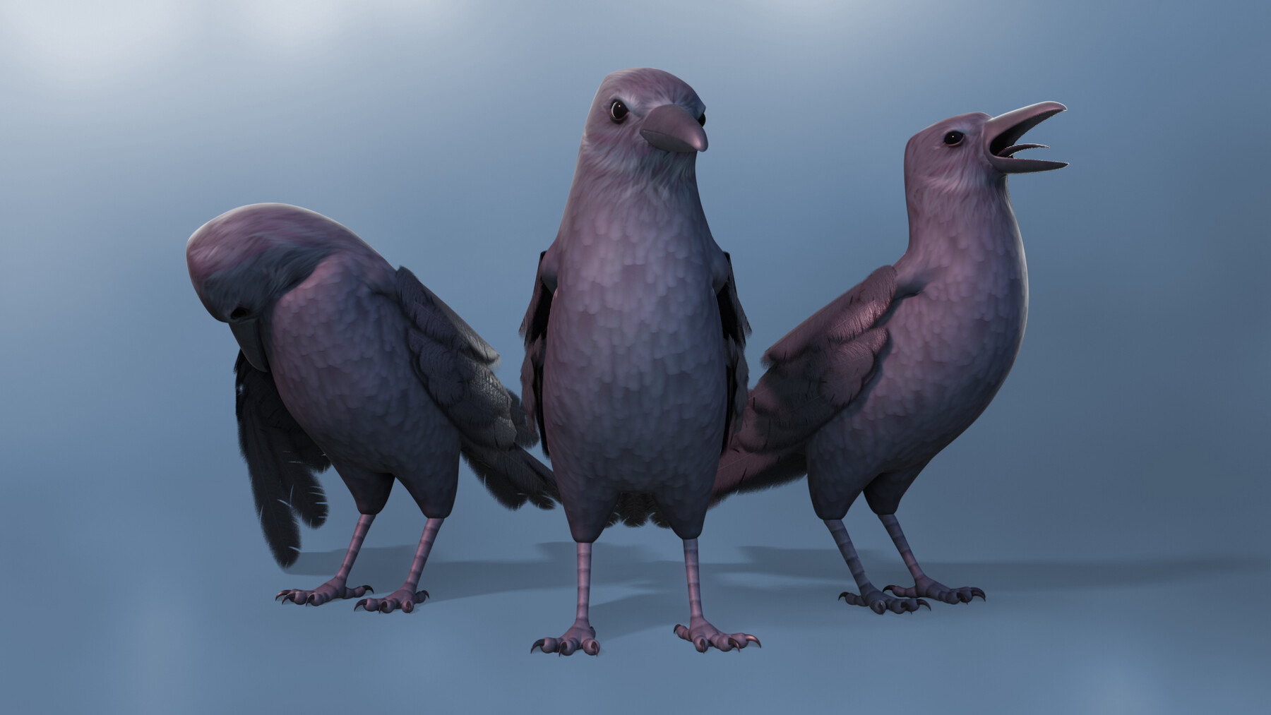 ArtStation - Crow Rigged - Stylized 3D Character for Blender | Game Assets