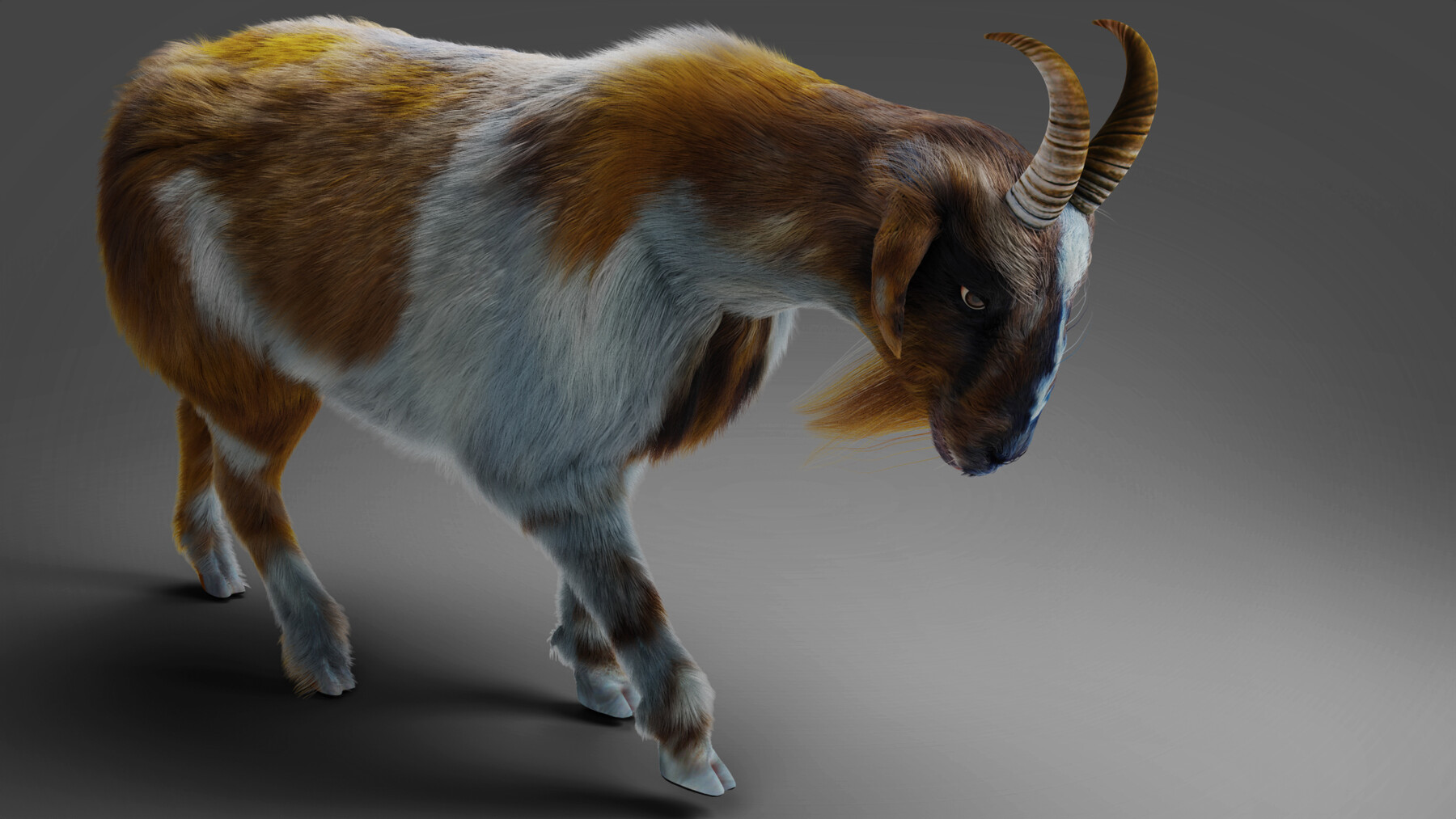 ArtStation - Fur Goat 01 Rigged and Animation in Blender | Game Assets