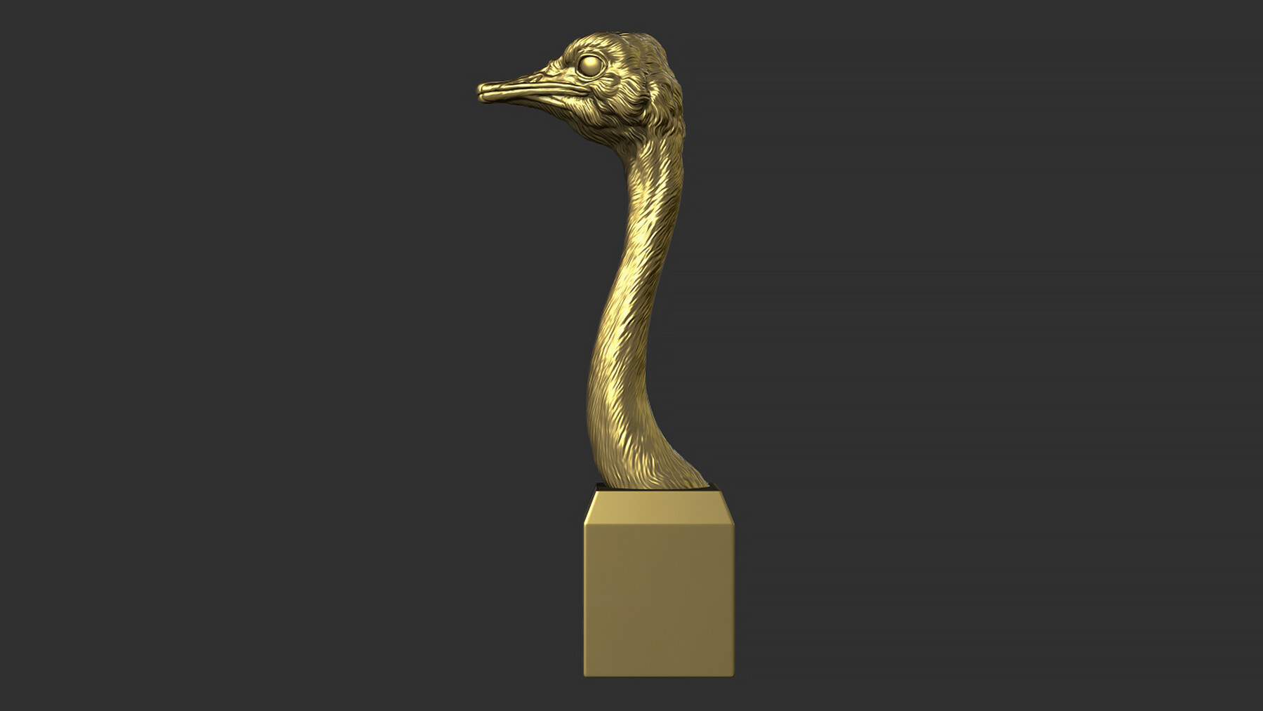 ArtStation - Ostrich head | Resources