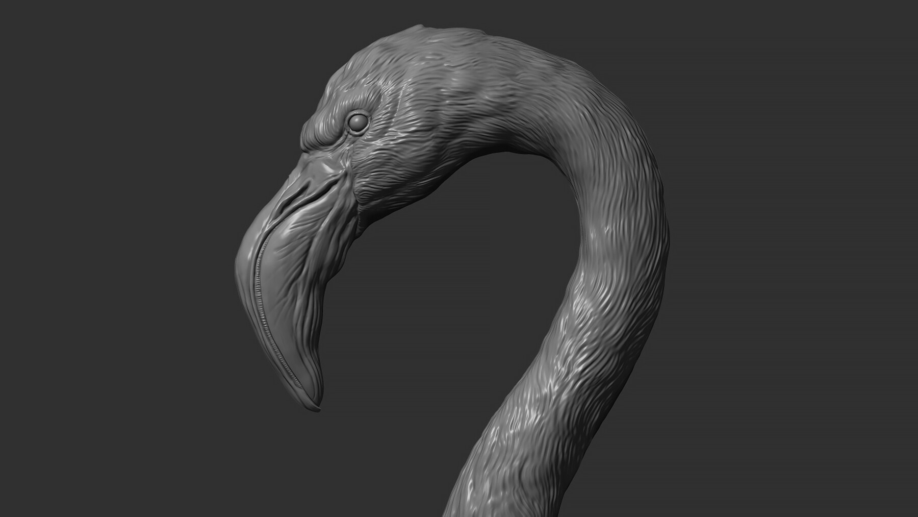 ArtStation - Flamingo head | Resources