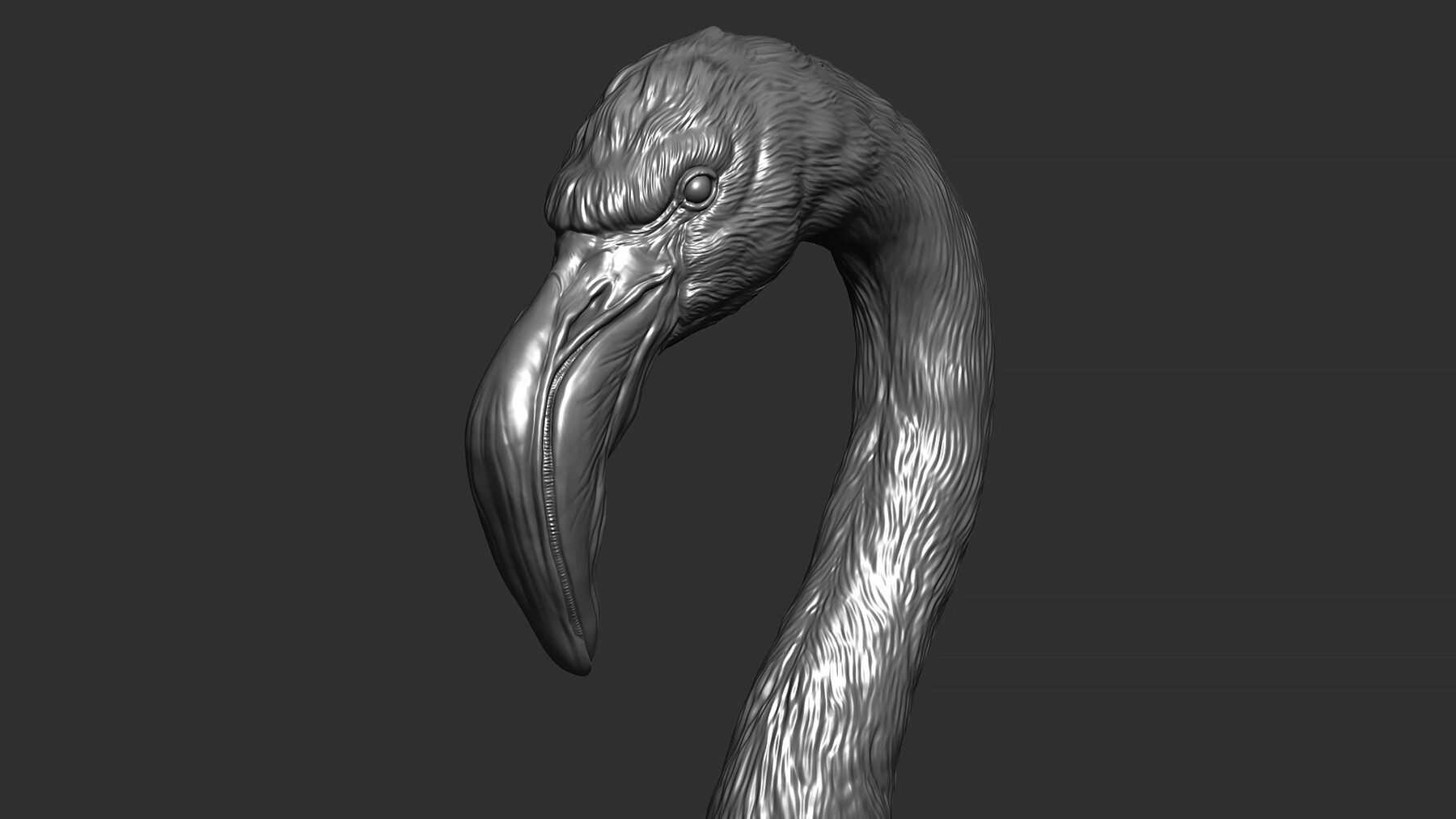 ArtStation - Flamingo head | Resources