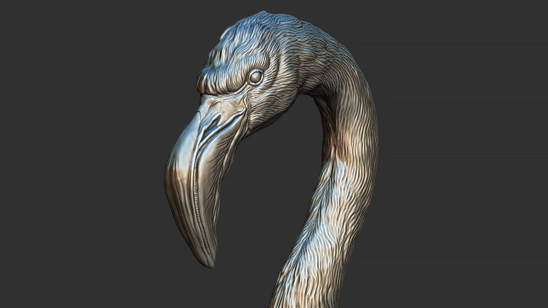 ArtStation - Flamingo head | Resources