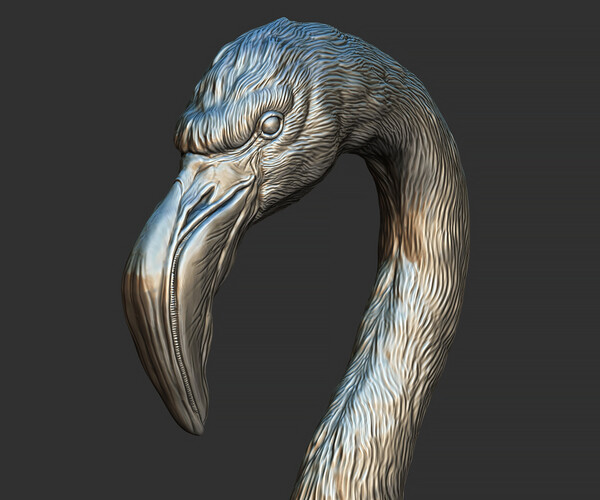 ArtStation - Flamingo head | Resources