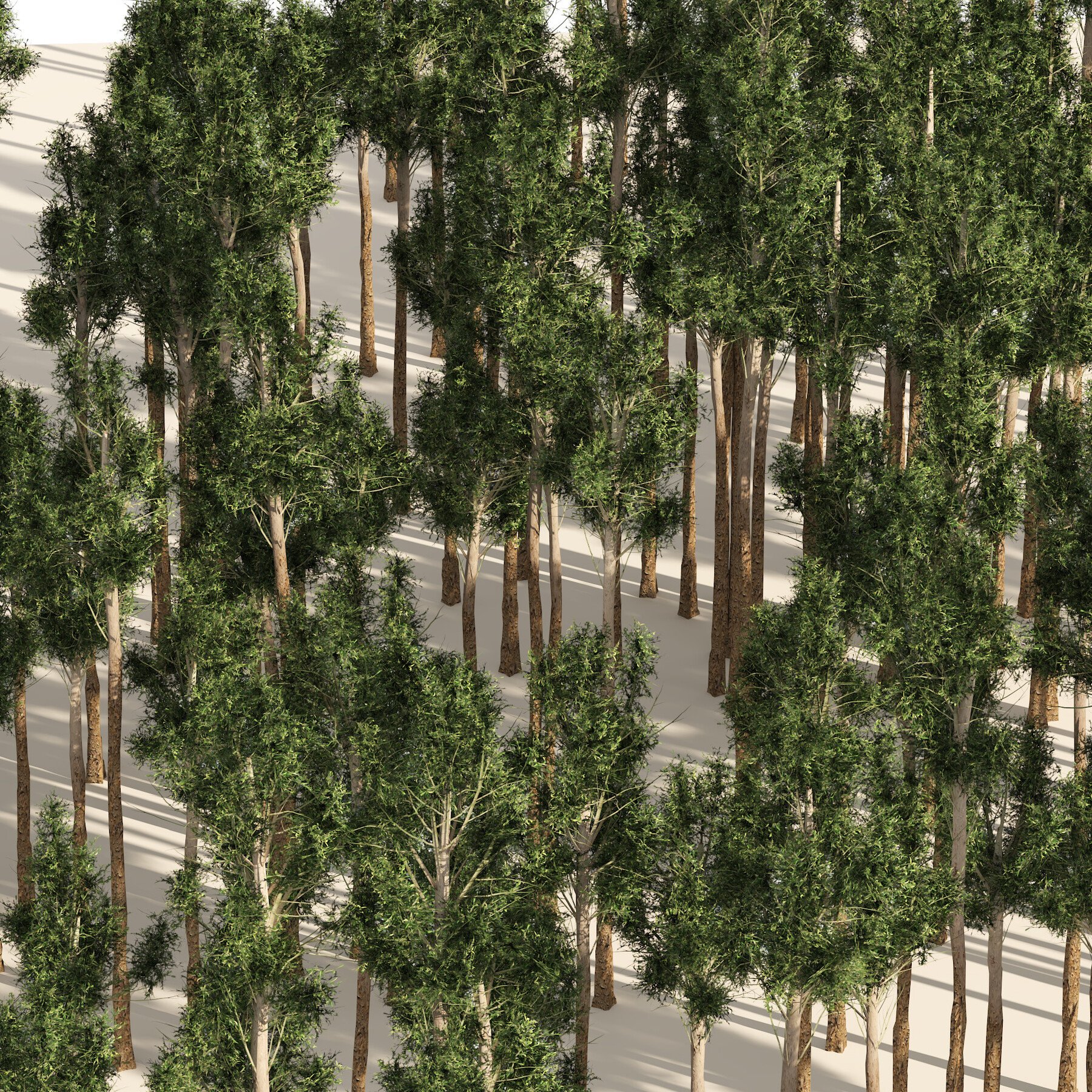 ArtStation - Rose gum forest tree | Resources