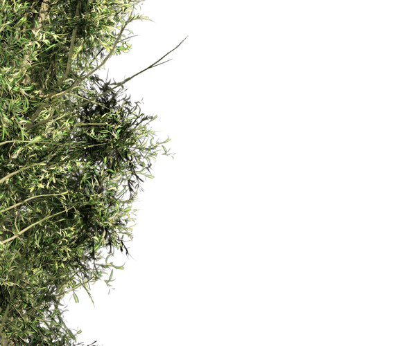 ArtStation - Rose gum trees | Resources