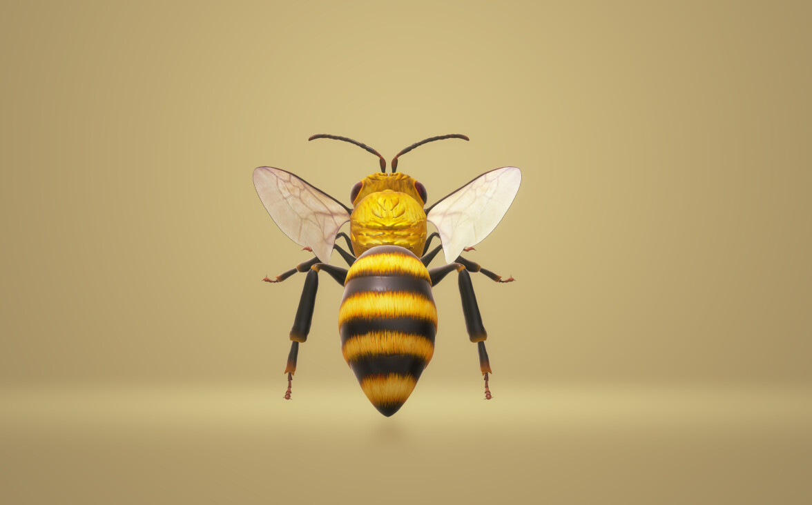 ArtStation - 3D Bee Model | Resources